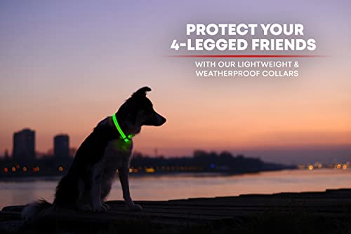 Illumiseen LED Dog Collar USB Rechargeable - Bright & High Visibility Lighted Glow Collar for Pet Night Walking - Weatherproof, in 6 Colors & 6 Sizes (Green Large)