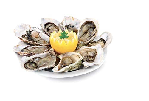 Tescoma 421080 Presto Seafood Oyster Opener, Stainless Steel, Pearl White