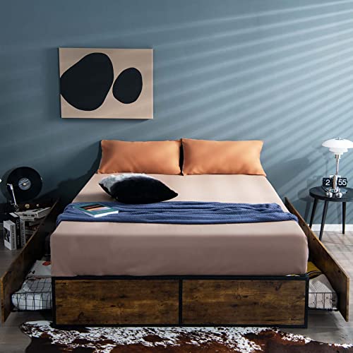 Giantex Queen Size Bed Frame with 4 Drawers, Industrial Metal Platform Bed Frame with Footboard, Reserved Holes for DIY Headboard, Heavy-Duty Mattress Foundation, No Box Spring Needed, Easy Assembly