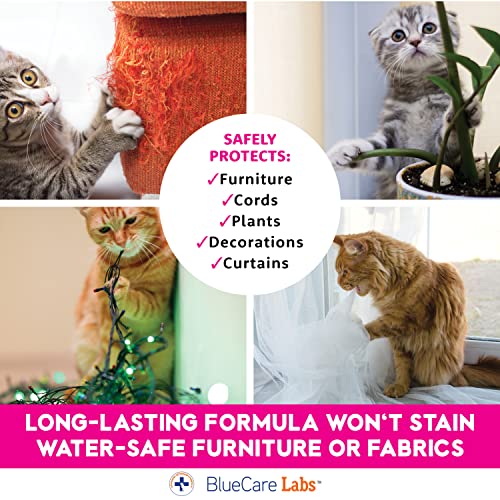 Cat and Kitten Scratch Spray Deterrent - Pet Repellent Spray for Cats & Kittens - Non-Toxic Indoor Anti Cat Scratching Formula - BLUECARE LABS