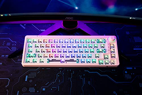 GK GAMAKAY LK67 65% RGB Modular DIY Mechanical Keyboard, 67 Keys Hot Swappable 3pin/5pin Switch, Programmable Triple Mode Bluetooth 5.0/USB-C Wired/2.4GHz Wireless Customized Keyboard Kit (Pink)