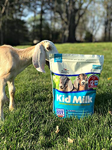 Manna Pro Milk Replacer with Probiotics for Goat Kids | High in Protein to Support Growth | Supports Gut Health and Digestion | 4lbs