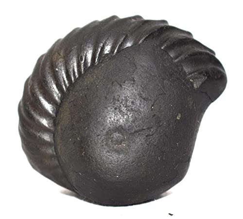 Dhumavati Shaligram/Adwaitya Golden Dhumavati Dasha MahaVidya Shaligram, Fossil, Fossil