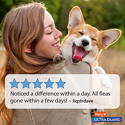 Hartz UltraGuard Flea & Tick Dog Spray, 032700106232 16 Fl Oz