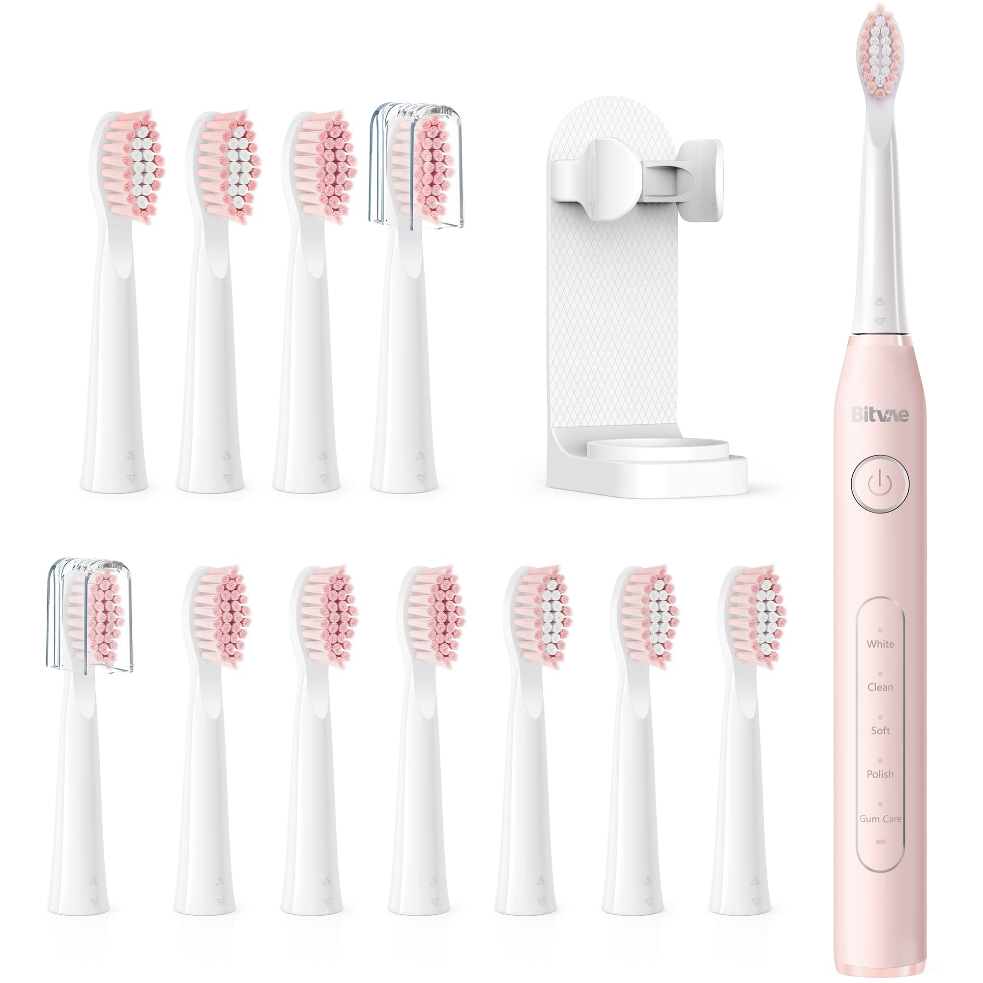 Bitvae Sonic Electric Toothbrush Electronic Toothbrush for Adults with 8 &4 Brush Heads, Travel Rechargeable Power Toothrush for 30 Days Using, Ultrasonic Toothbrush with 5 Modes and Timer (Pink)