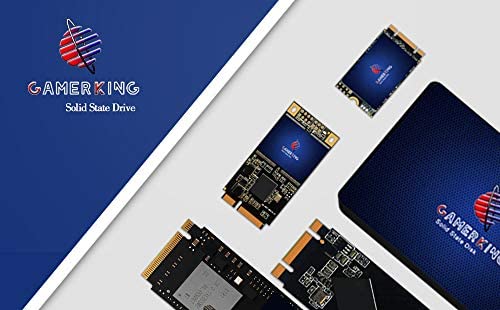 GAMERKING M.2 2242 SSD 256GB 3D NAND TLC SATA III 6 Gb/s, Internal Solid State Drive - Compatible with Desktop PC Laptop (2242 256GB)
