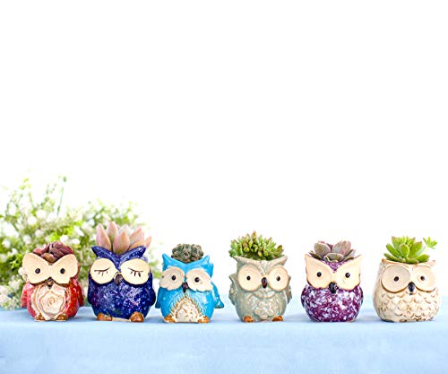 Claywa Ceramic Owl Succulent Pots Cute Animal Plant Planters 2.75" to 3.35" with Drainage Pack of 6 Plants Not Included