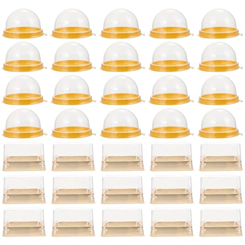 GANAZONO 100pcs Mini Moon Cake Boxes Clear Plastic Square Round Cupcake Boxes Dome Cake Container Bakery Carrier for Muffins Dessert Golden