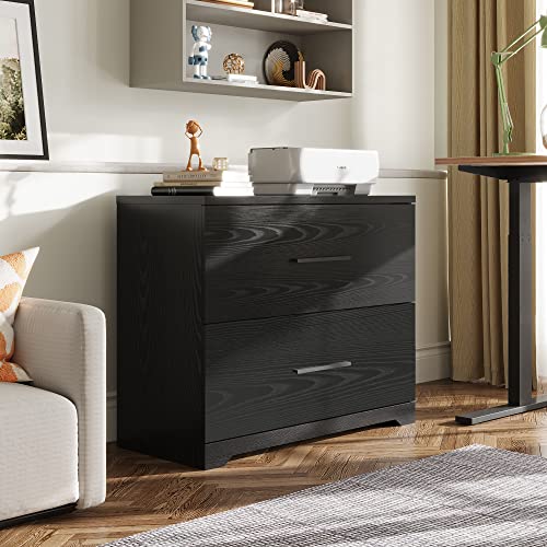 DEVAISE 2 Drawer Wood Lateral File Cabinet with Anti-tilt Mechanism, Storage Filing Cabinet for Home Office, Black