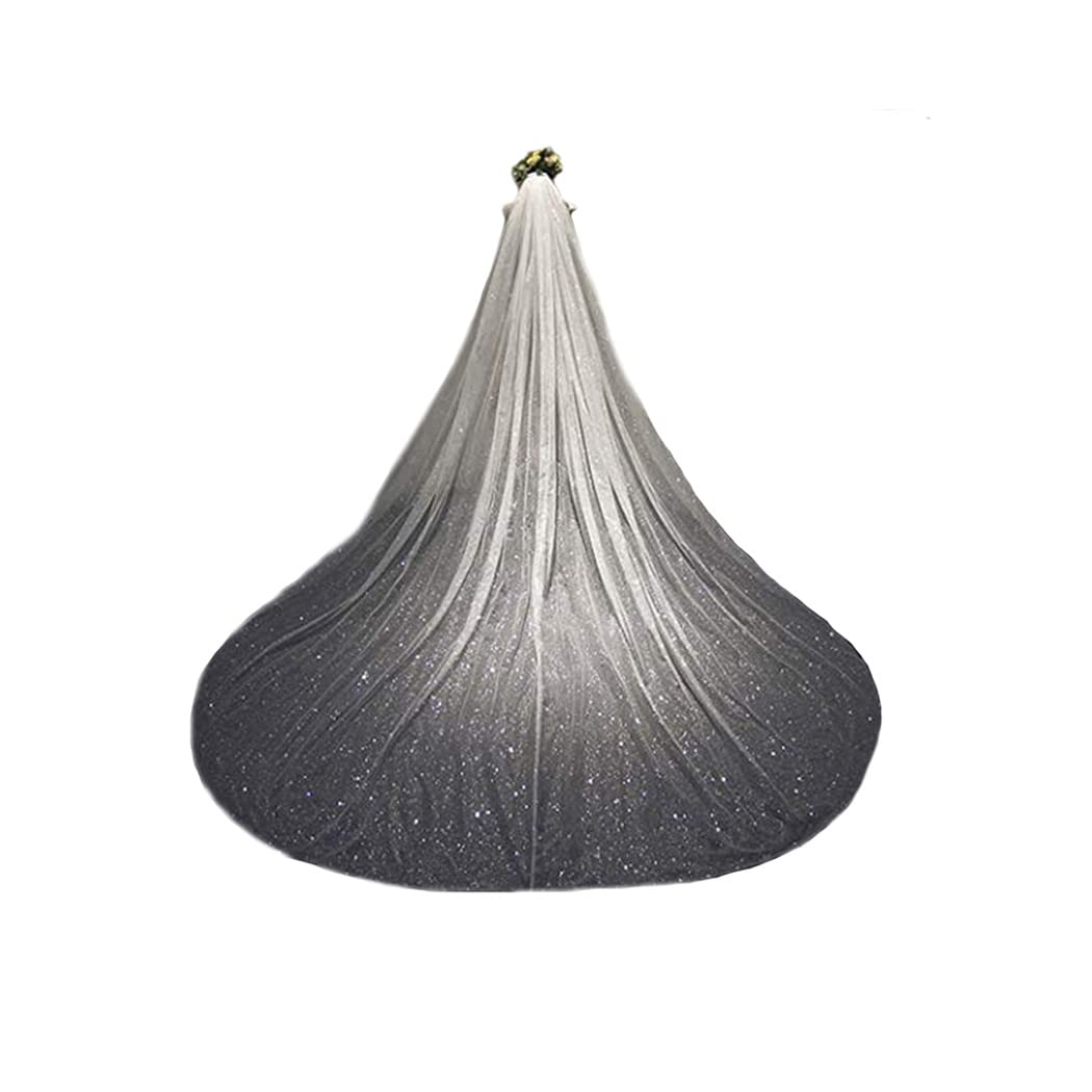 Aukmla Sparkle Cathedral Wedding Veil Long Glitter Bridal Veils with Comb for Women and Brides (White, 118'' Width)