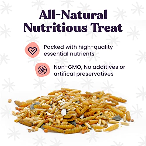 Forager's Feed Black Soldier Fly Larvae Cake, Sustainable Treat for Chicken Health, 4 Oz. Individually Wrapped Treats