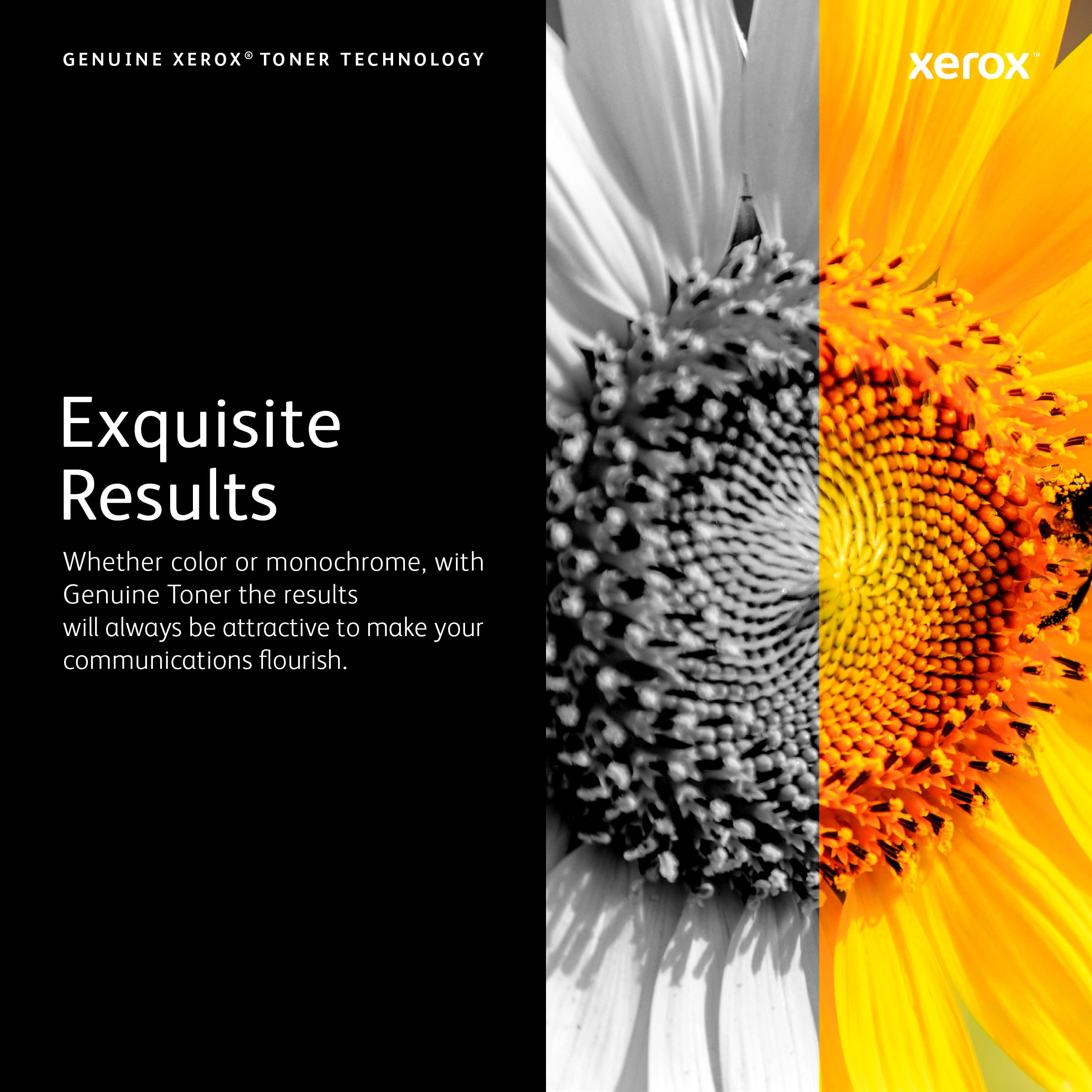 Xerox Phaser 3330/Workcentre 3335/3345 Black Extra High Capacity Toner-Cartridge (15,000 Pages) - 106R03624