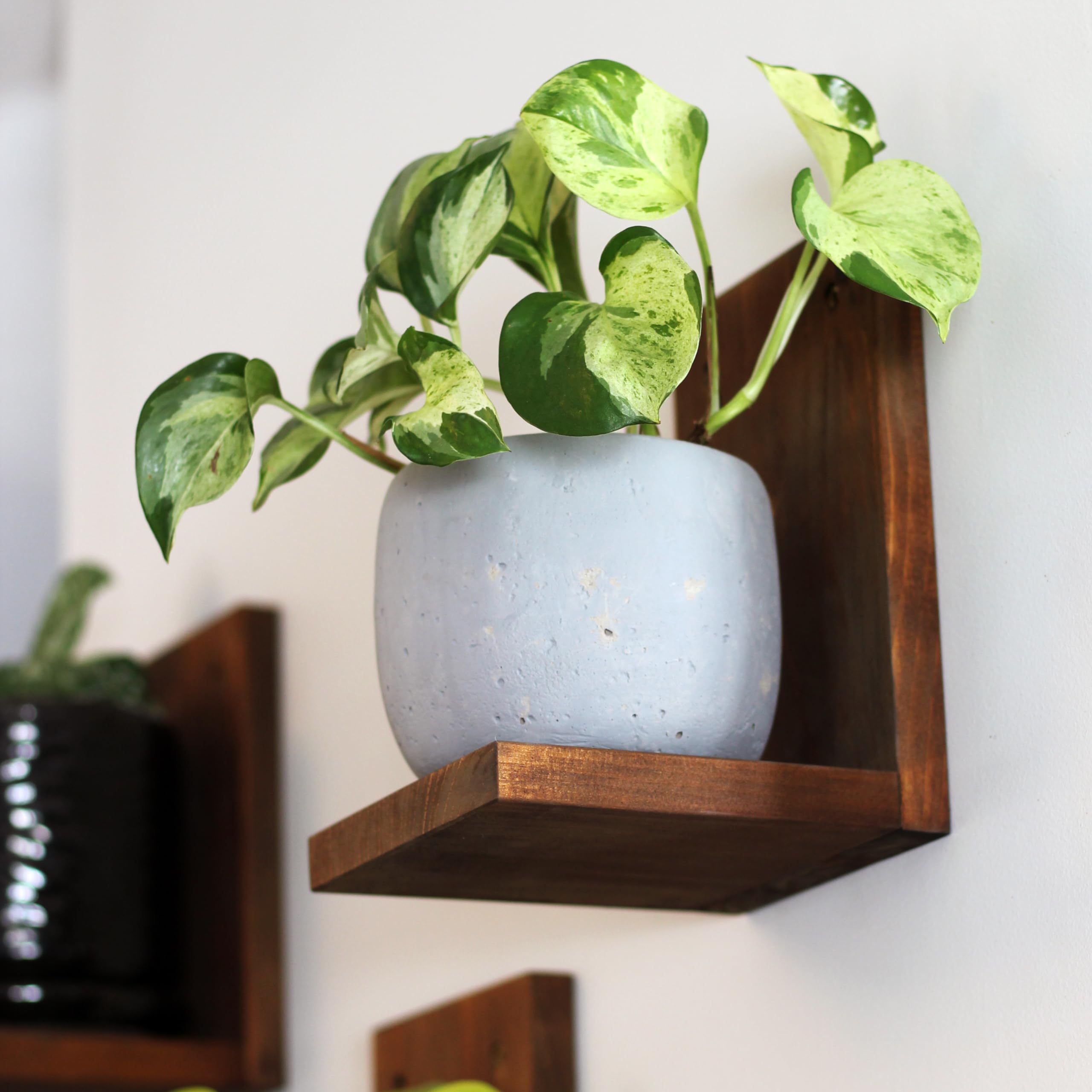 Daniel's Plants Indoor Plant Wall Gallery Shelf Kit | Midcentury Modern Wooden Shelves | Wall Mounted Plant Shelf | L Shaped Floating Shelves | Solid Wood Wall Planter Shelf | 3 Pack (Woodland Brown)