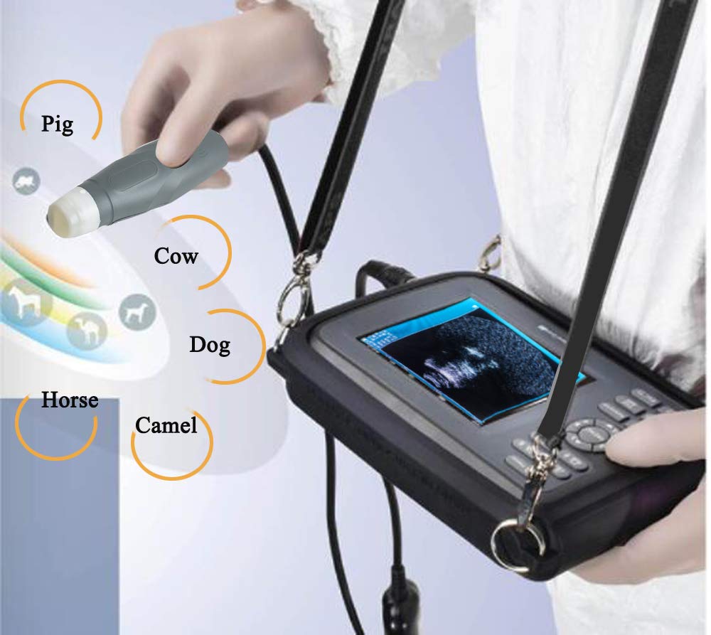 Veterinary WristScan Ultrasound Scanner Machine Handscan for Farm Animals with 3.5MHz mechanical sector probe