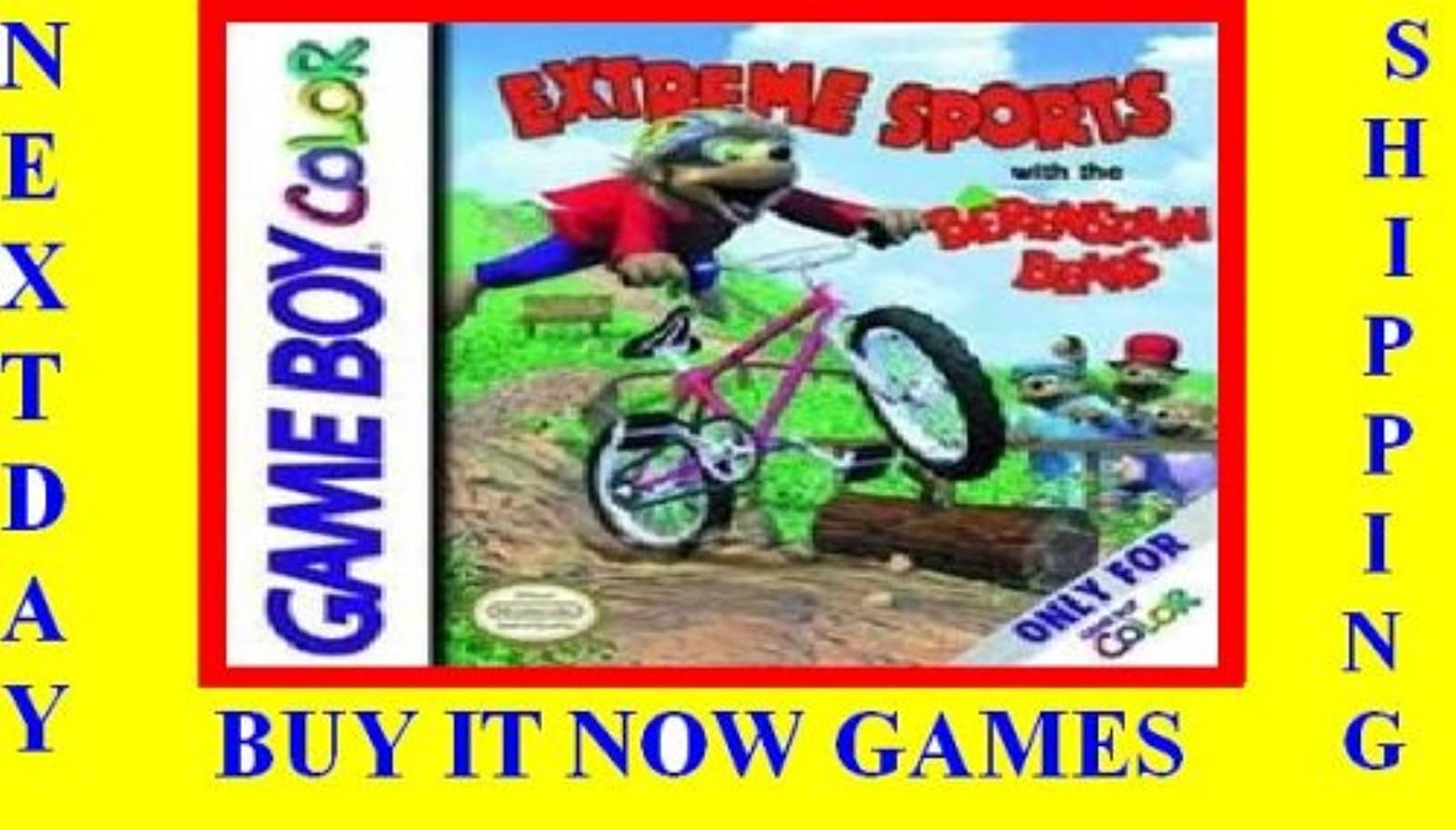 Extreme Sports with the Berenstain Bears