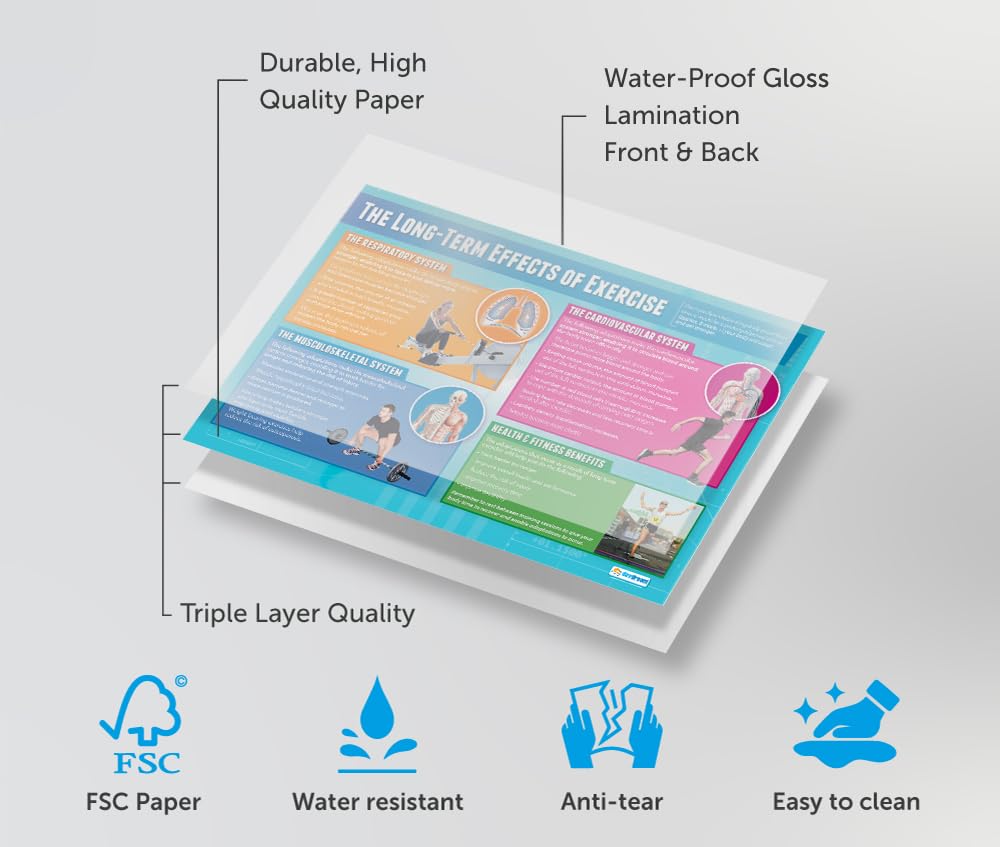 The Long-Term Effects of Exercise Classroom Poster - EXTRA LARGE 33” x 23.5” - Laminated - Physical Education Middle & High School Class Decor - Wall Charts by Daydream Education.