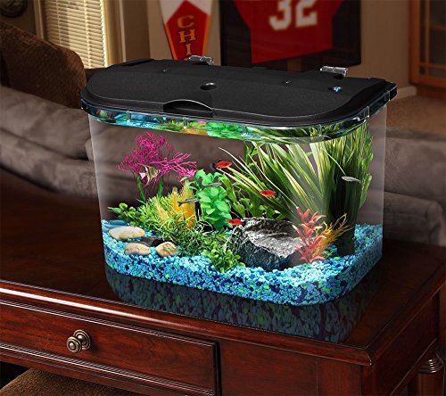 Koller Products 5-Gallon Aquarium Kit with LED Lighting and Power Filter, Ideal for a Variety of Tropical Fish