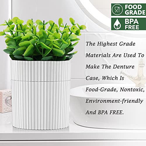 Denture Bath, Invisible Denture Case Designed As Artificial Eucalyptus Potted Plants, Denture Cup With Strainer For Retainer, Mouth Guard & Dentures, Perfect For Home Decorationā¦