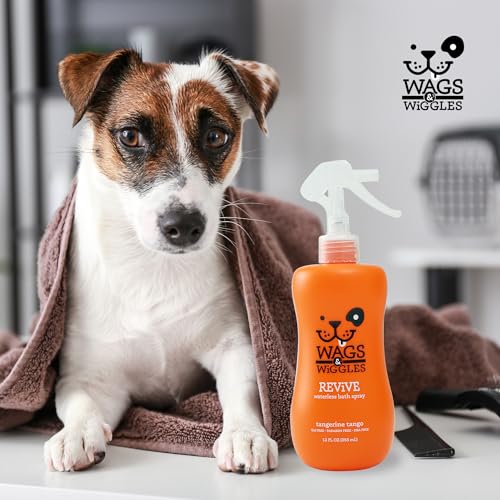 Wags & Wiggles Revive Waterless Bath Spray for Dogs | Waterless Dog Shampoo Dog Spray Dog Deodorizing Spray for Smelly Dogs in Tangerine Tango Scent, 12 oz