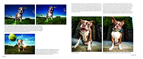 Dogtography: A Knock-Your-Socks-Off Guide to Capturing the Best Dog Photos on Earth