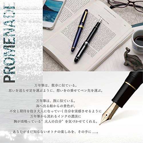 Sailor Pen fountain pen Promenade in fine 11-1031-340 Shining Blue