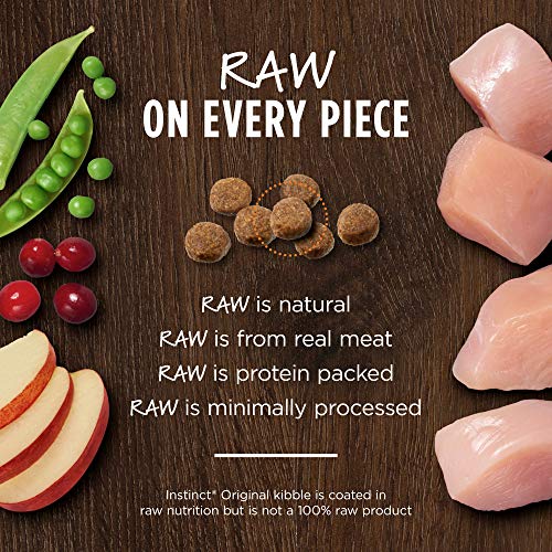 Instinct Grain Free Dry Dog Food, Original Raw Coated Real Chicken Natural High Protein Dog Food, 22.5 lb. Bag