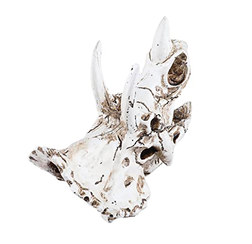 Dinosaur Triceratops Skull Reptile Amphibian Habitat Hide β Premium Non-Toxic Resin for Aquariums & Terrariums β Large Size