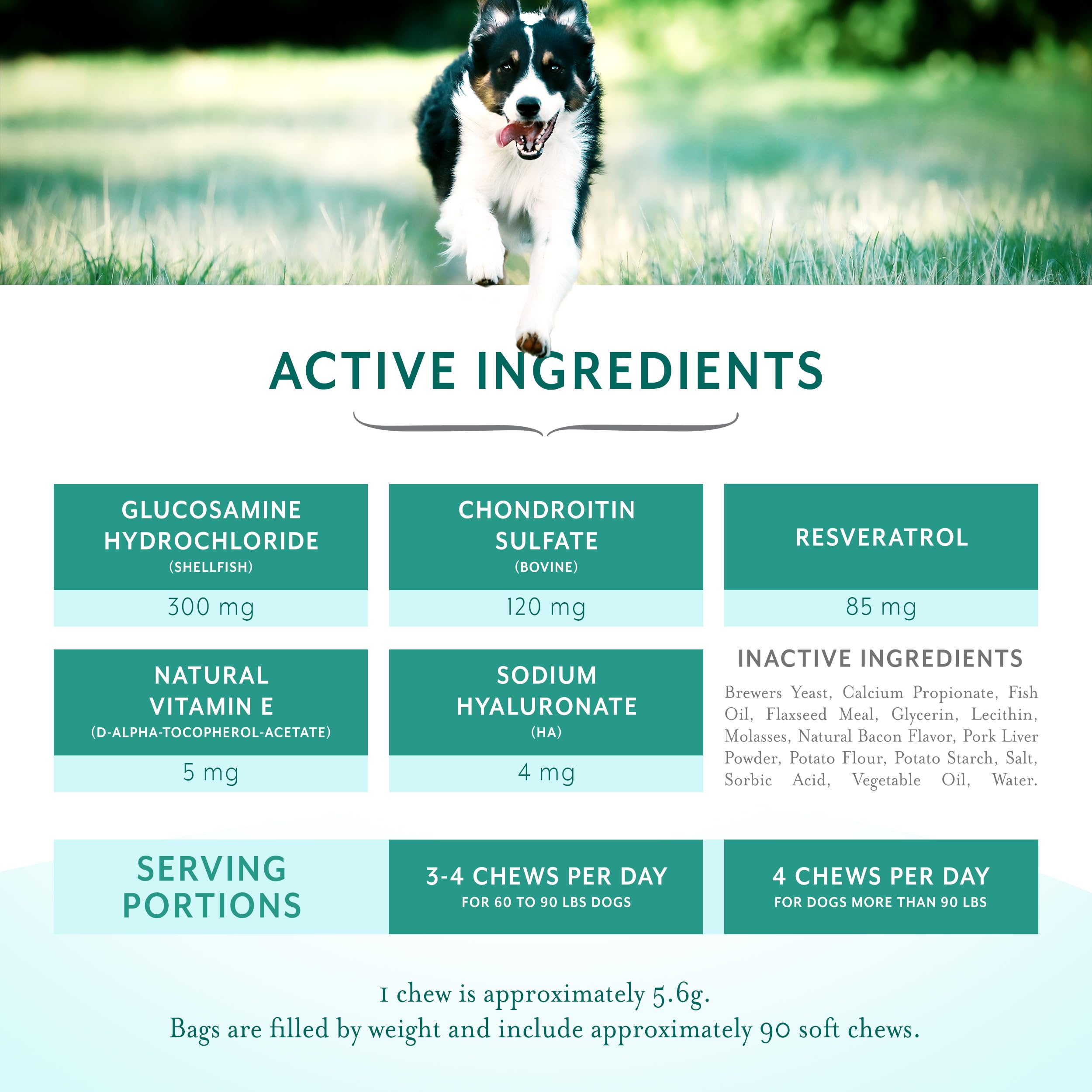 PetThrive Dog Hip and Joint Support Supplement Soft Chews with Resveratrol, Glucosamine, Chondroitin, Hyaluronic Acid, Bacon Flavor, Large Breed