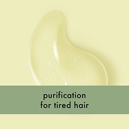 Love beauty and planet tea tree oil & vetiver shampoo, 400ml (1 battles)