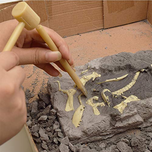 Dinosaur Fossils Dig Kit for Kids,Dig Up Dinosaurs Skeleton Set, Archaeology for Kids Educational Toys,Dinosaur Toys for Kids 8-12,Kids Gifts,Science Kits
