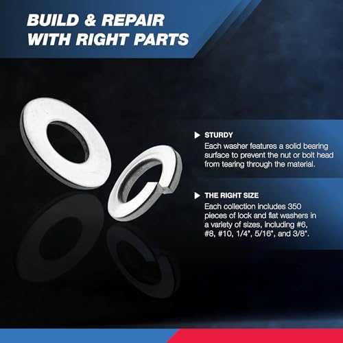 NEIKO 50400A Stainless Steel Lock and Flat Washer Assortment | 350 Piece Set | 12 Different Sizes in Spring Lock and Flat Design | Prevent Loose Fasteners