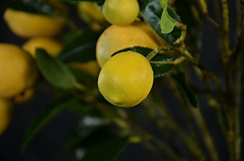 GiDiProtea Artificial Lemon Branch Yellow Vivid Artificial Fake Lemon Flower Home Party Garden Decoration 2Pcs 7 Lemons