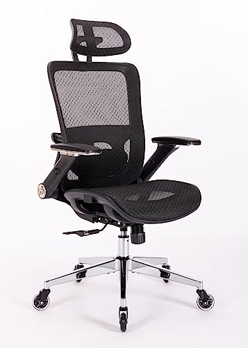 Office Chair, High Back Ergonomic Desk Chair, Breathable Mesh Desk Chair with Adjustable Lumbar Support and Headrest, Swivel Task Chair with Armrests, Executive Chair for Home Office (Black)