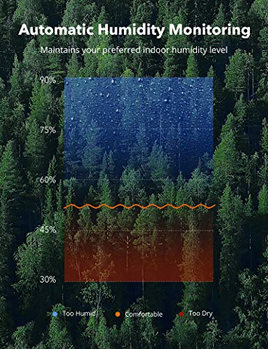 Humidifiers for Bedroom, 6L Ultrasonic Cool Mist Humidifier with Humidistat, LED Display, Wide Opening, Easy to Clean & Fill, Sleep Mode, Long Working Time, Air Humidifier for Bedroom Large room (White)