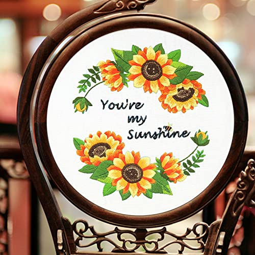 Fanquer Embroidery Kit for Adults 2 Pack Cross Stitch Kits with Pattern Beginners Hoops Needles & Color Threads Needlepoint Supplies Beginners, Multicolor
