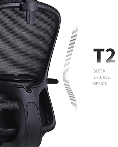 KARXAS Ergonomic Office Chair High Back Desk Chair with Adjustable Lumbar Support, Headrest & Armrest, Swivel Computer Task Chair (Black)