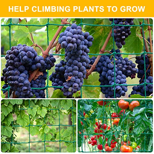 Garden Trellis Netting for Climbing Plants Outdoor, 6.6x16.4 FT Plant Netting for Cucumber, Tomato, 27 Strands Trellis Net with 4x4 Inch Mesh as Vegetable Netting for Grape, Bean