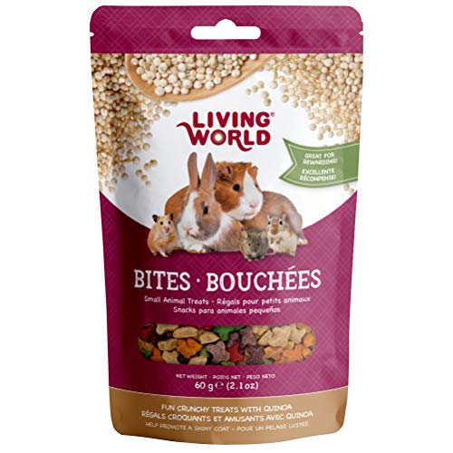 Living World Quinoa Bites, 2.1 Ounce