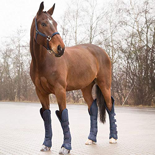 Horze Shipping Boots - Peacoat Dark Blue - Horse