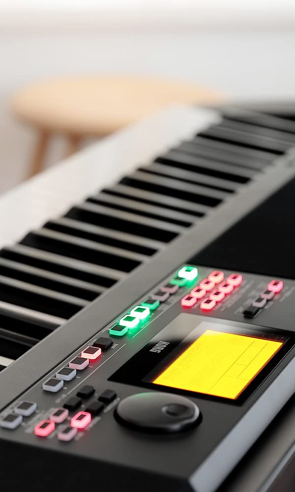 Korg XE20 Digital Ensemble Piano Bundle with Adjustable Stand, Bench, Power Supply, Damper Pedal, Keyboard Cover, Instructional Book, Austin Bazaar Instructional DVD, and Polishing Cloth