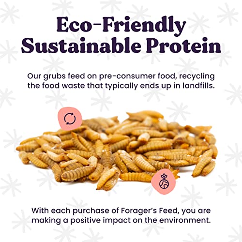 Foragers Feed Whole Dried Black Soldier Fly Larvae, Sustainable Chicken and Livestock Feed for Animal Health, 1 Lb Resealable Bag