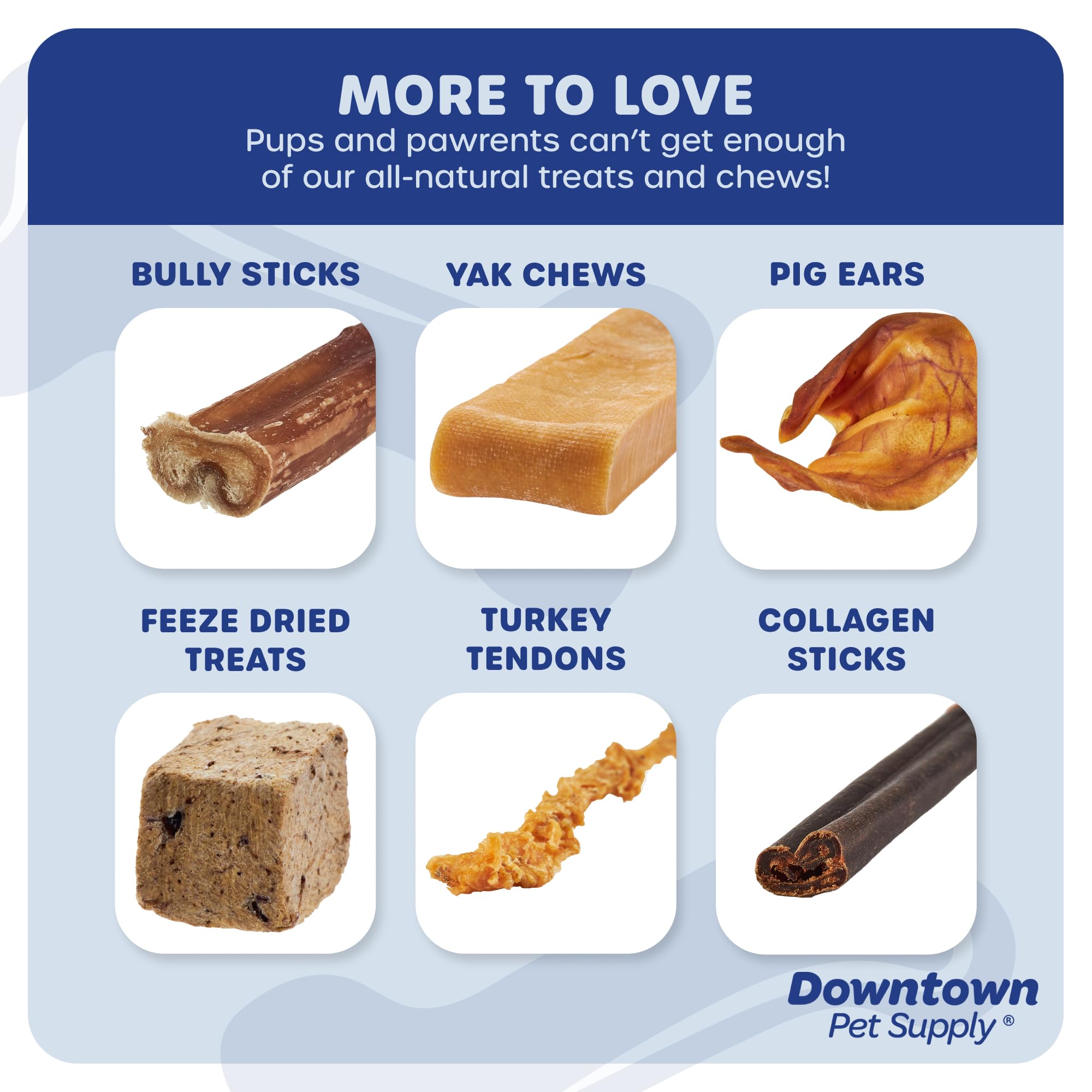 Downtown Pet Supply 12" Turkey Tendons for Dogs Made in USA, 10 Pack - Rawhide Free Dog Chews Long Lasting and Non-Splintering - Single Ingredient, Nutrient-Rich Tendon Chews for Dogs