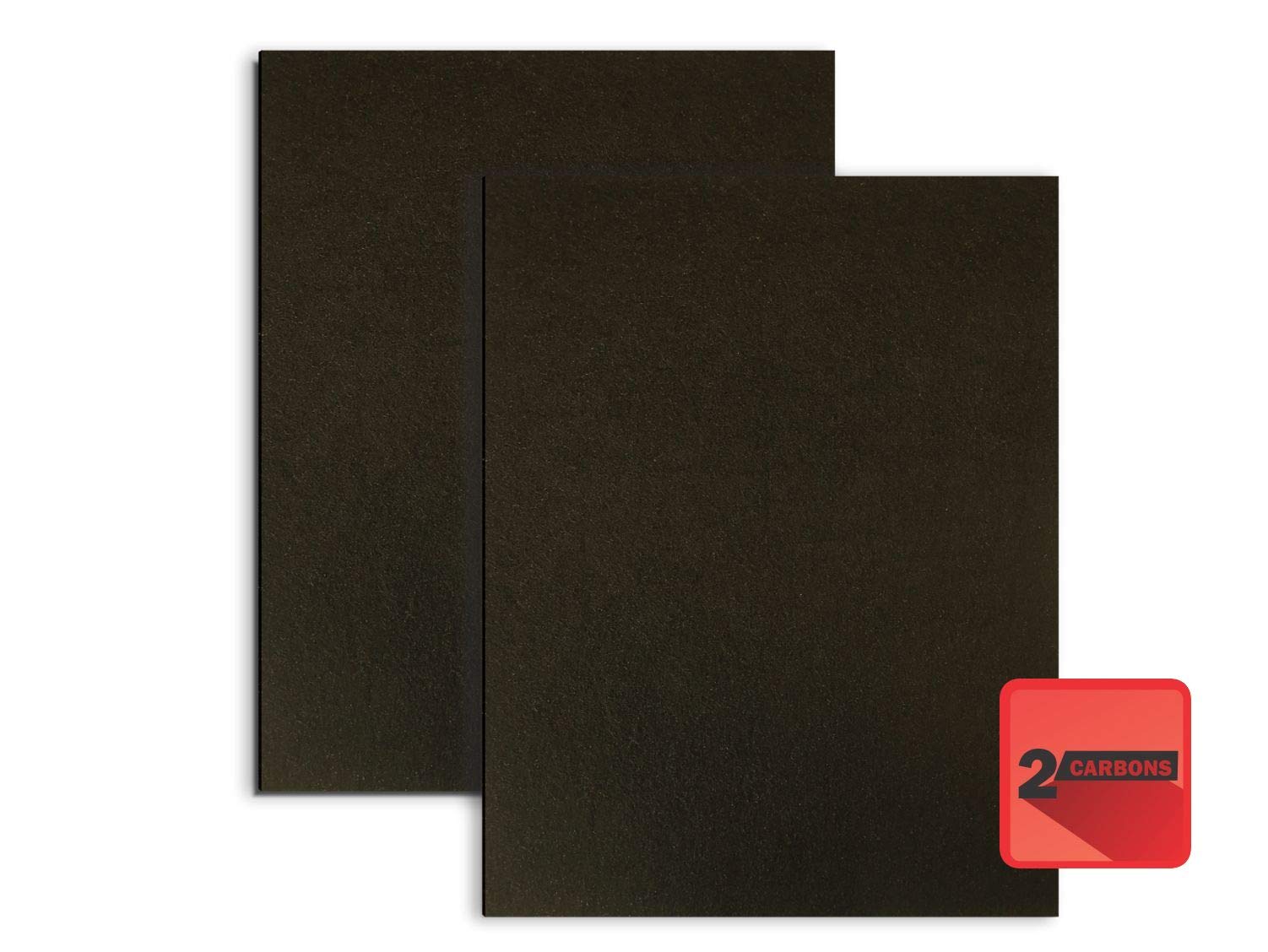 GoodVac Replacement for Oreck AirInstinct 75, 100, 108, 150, 200 Odor Absorber Carbon Pre-Filter - 2 Pack