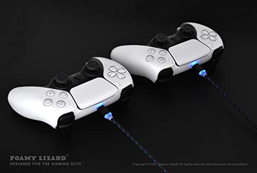 Foamy Lizard 10FT Split PS5 Controller Charger Cable, LED Fast Charging Braided Nylon Replacement Cord, Dual USB C for Switch, Playstation 5 Dualsense, Xbox Series X/S, Accessories (C to C, Blue LED)