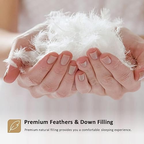 DWR Premium Feather Down Comforter Duvet Insert - 100% Skin-Friendly Cotton, Medium Weight Quilted for All Season Bedding (Full/Queen, Ivory White)