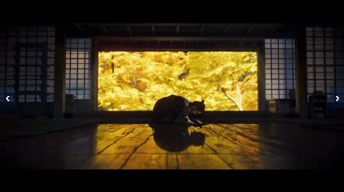 Ghost Of Tsushima: Directors Cut for PlayStation 5 [PS5] (PS5)