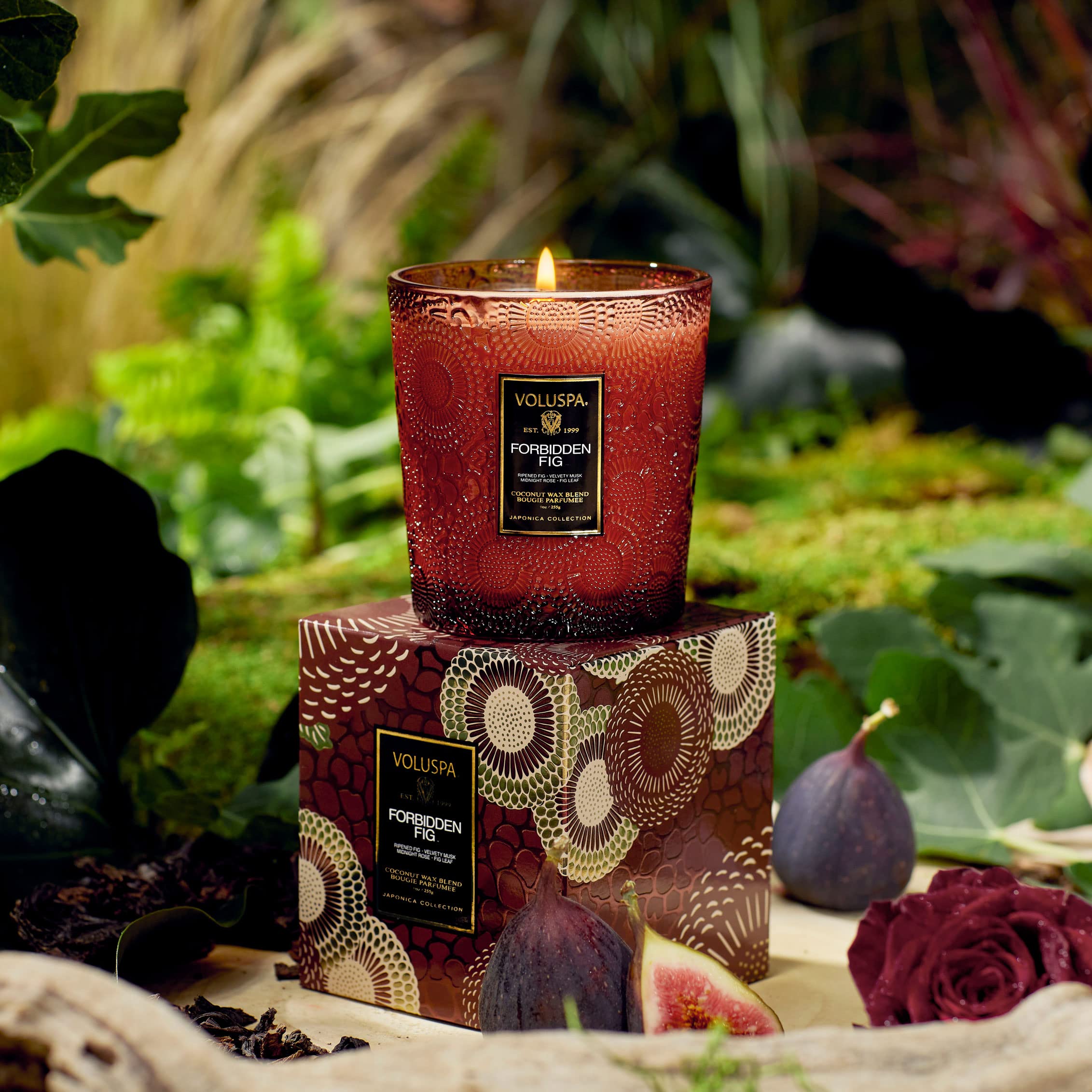 Voluspa Forbidden Fig, Classic Boxed Candle, 9 oz, 60 Hour Burn Time, All Natural Wicks and Coconut Wax for Clean Burning, Vegan, Poured in The USA