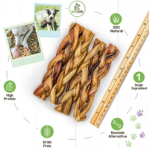 Nature Gnaws Braided Bully Sticks for Dogs - Premium Natural Beef Bones - Long Lasting Dog Chew Treats for Small and Medium Breeds - Rawhide Free - 6 Inch (3 Count)