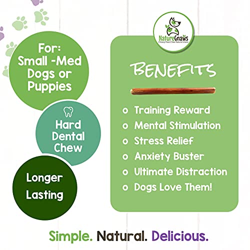 Nature Gnaws Small Bully Sticks for Dogs - Premium Natural Beef Bones - Thin Long Lasting Dog Chew Treats for Light Chewers & Puppies - Rawhide Free - 6 Inch (5 Count)