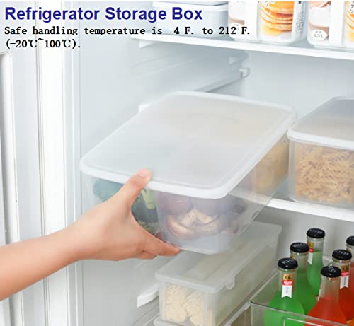 KNC Food Storage Containers with Lids Airtight,Reusable Fresh Produce Fruit Storage Organizer, Refrigerator Food Fresh Box with 4 detachable small boxes for Storing Fish, Meat, Vegetables,Grain